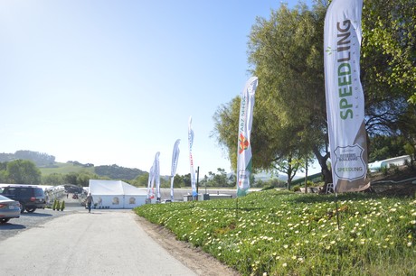 This was on display at Speedling during CAST 2017