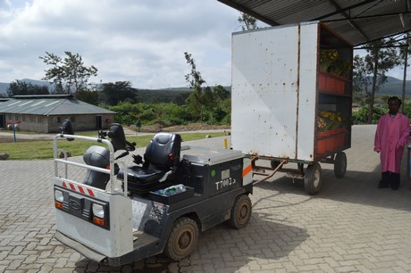 Kenyan growers set ambitious goals