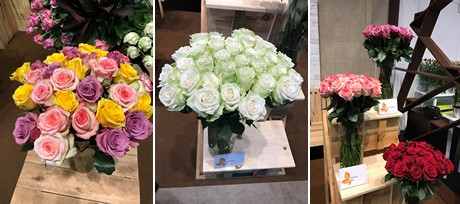 Brazil: Despite crisis, opportunities for growth