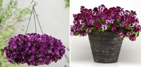 "A future-proof product"