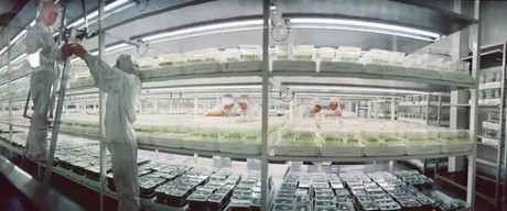 SIAT Group's Deroose Plants acquires Exotic Plant