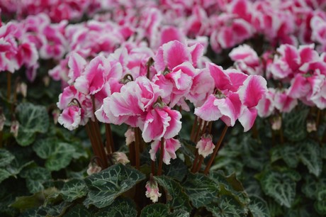 Something for everyone