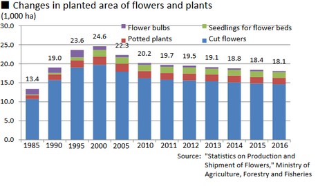 Japan cut flowers: decreasing production, increasing exports